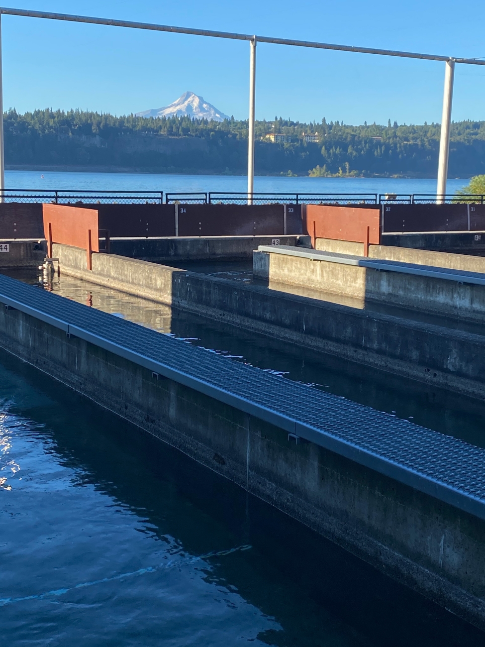 Spring Creek National Fish Hatchery Raceways and Mt. Hood | FWS.gov