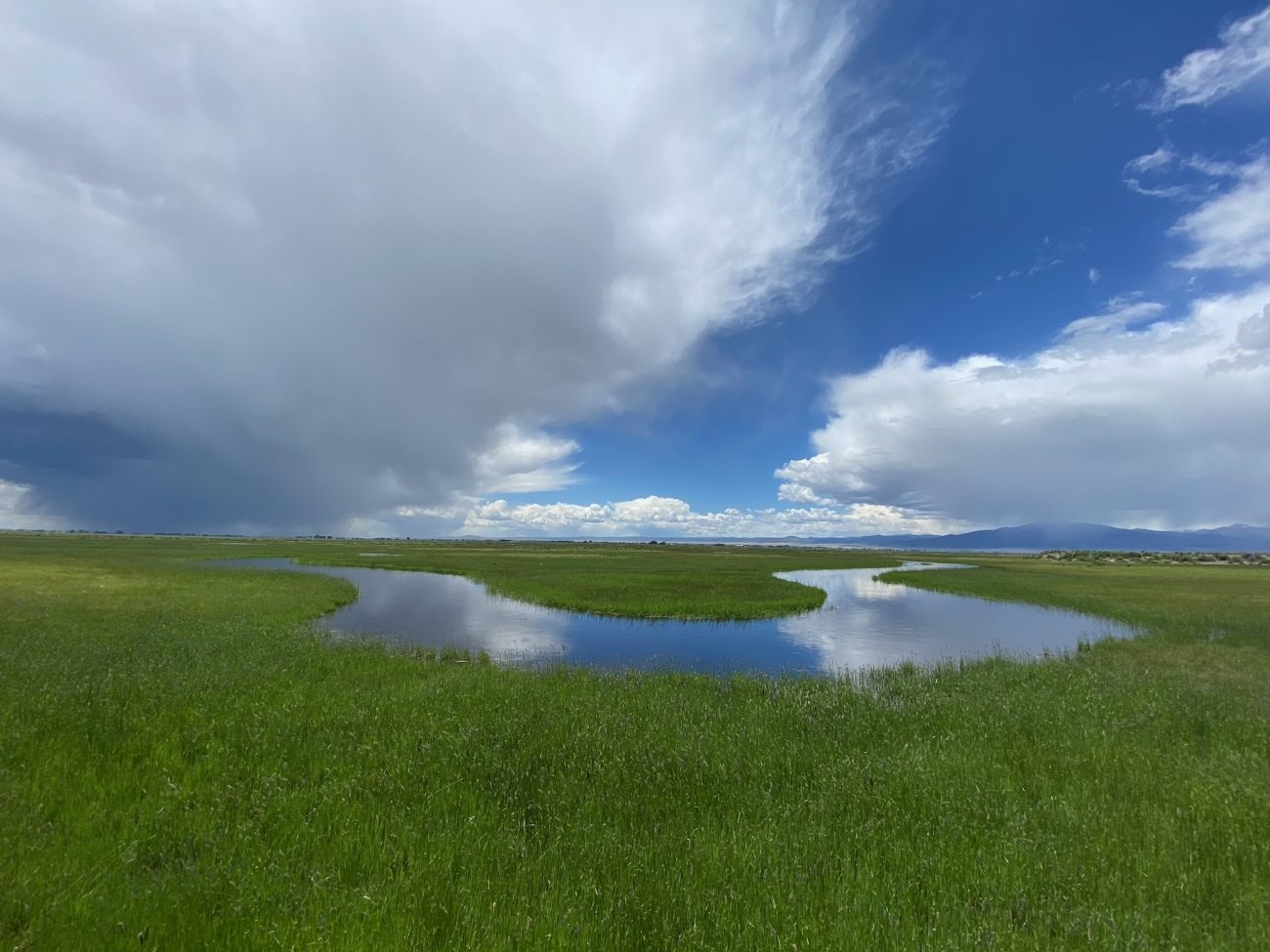 Meandering Rock Creek on Monte Vista Refuge | FWS.gov