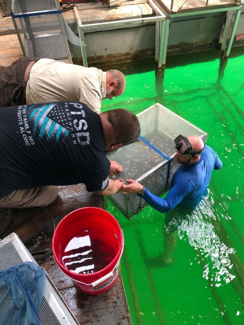 Matt, Reeves, & Tyler lowering cages.jpg | FWS.gov