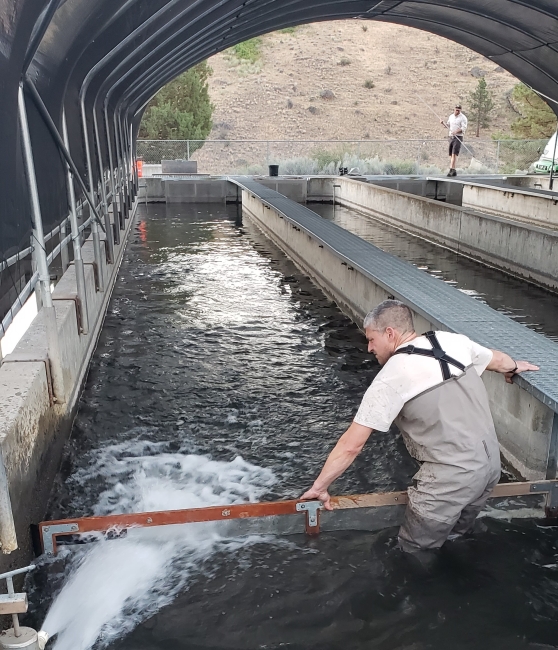 Warm Springs National Fish Hatchery, OR | FWS.gov