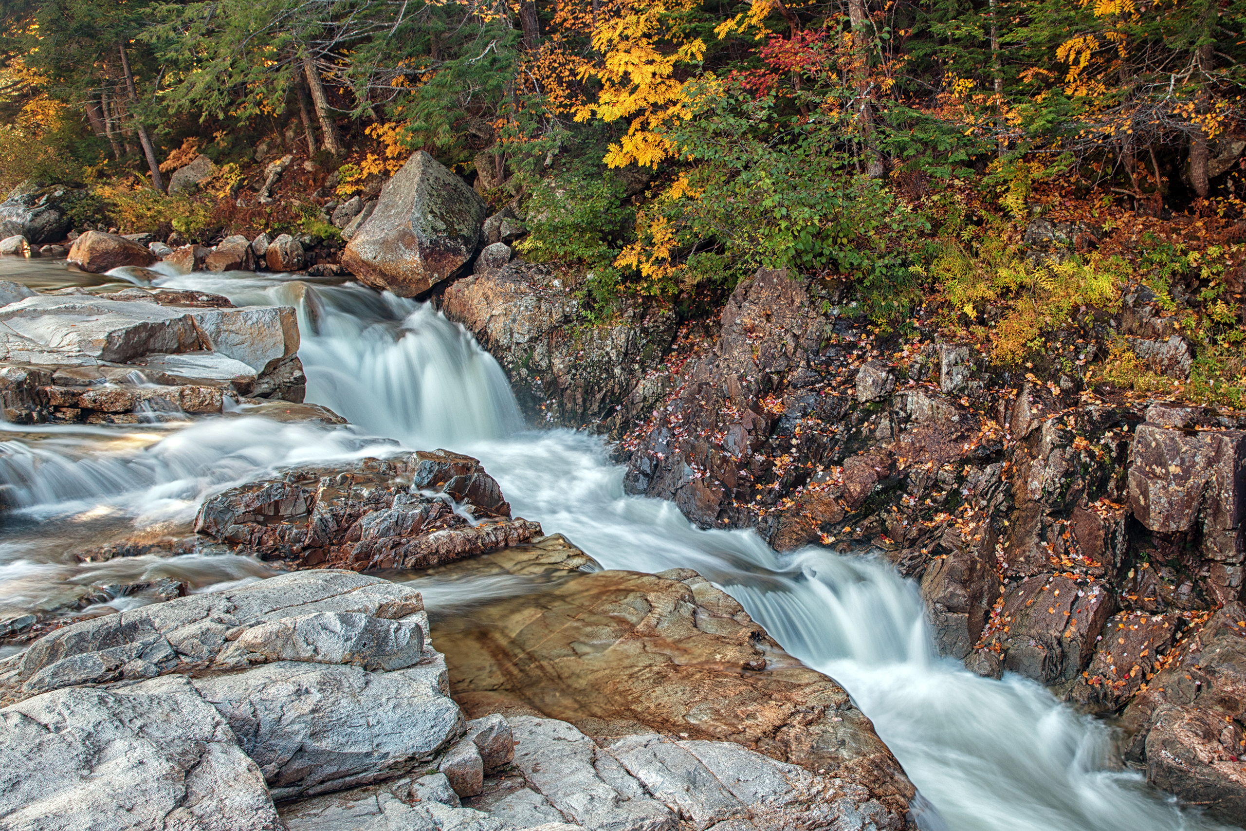 Swift River